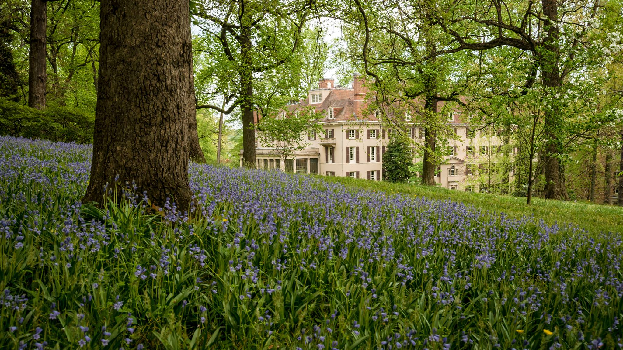 Winterthur Museum, Garden & Library - Reading Room | Antique Homes