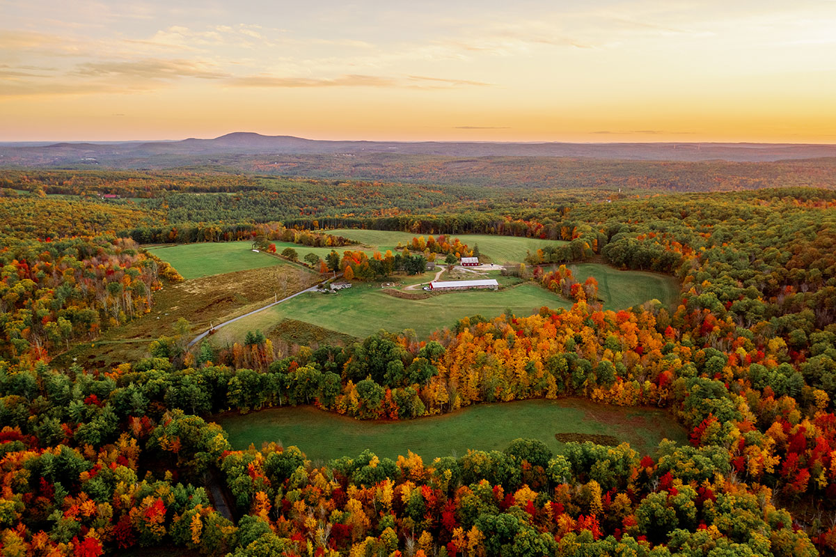 deCordova Sculpture Park and Museum: A Walk in the Park: Guided Tour of deCordova Sculptures ...