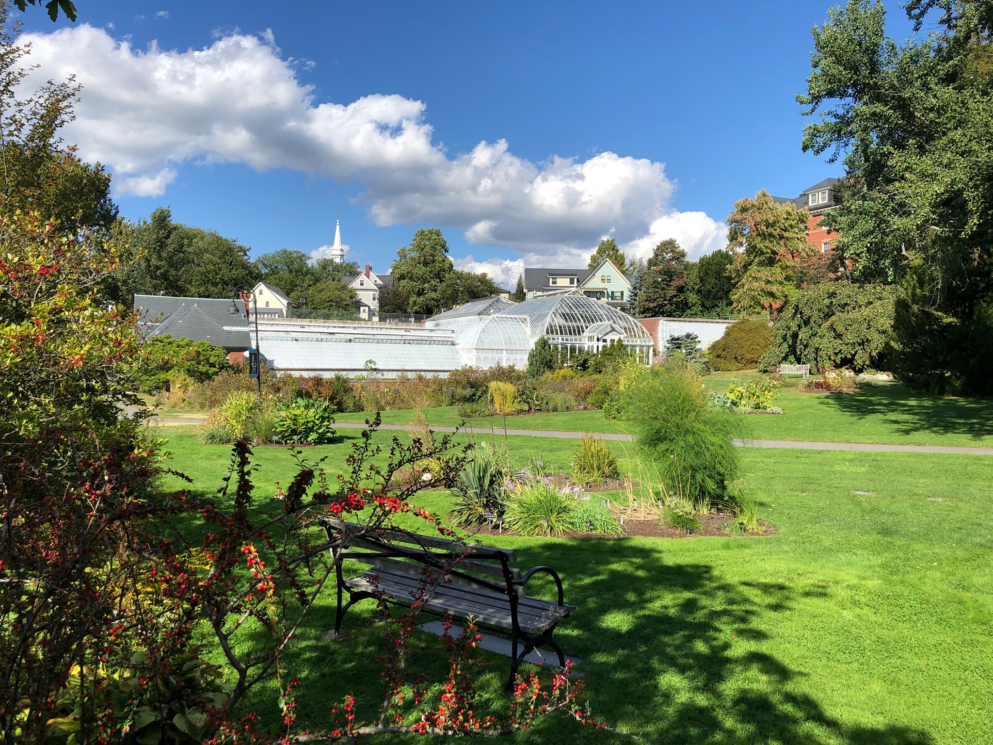 Northampton Flower Show | Best Flower Site